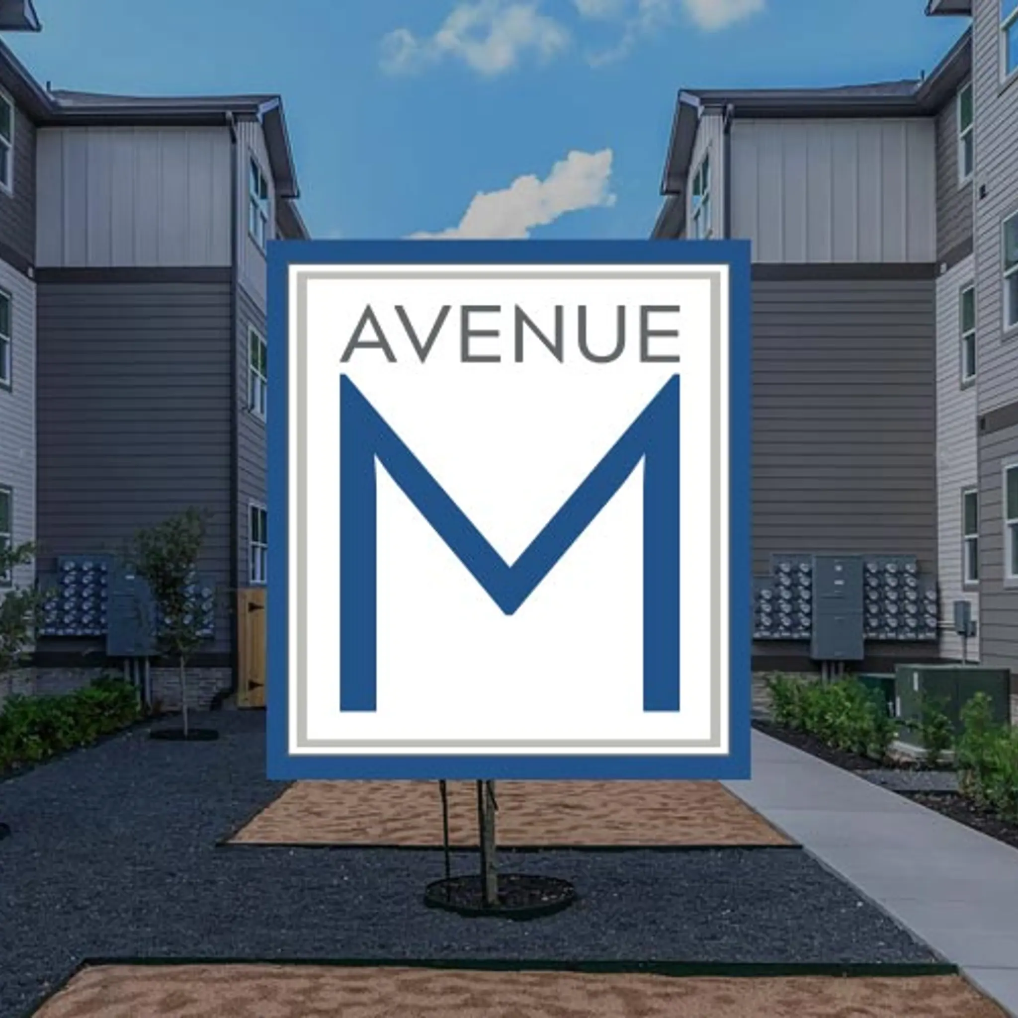 Home | Avenue M
